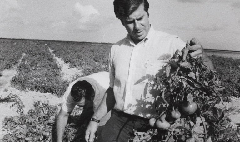 About Us - DiMare Fresh